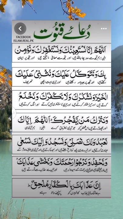 Dua E Quanoot Beautiful Best Viralvideo Tilawatbeautifulvoice