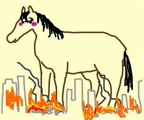 Pedrinhopecos Profile Pic Drawception