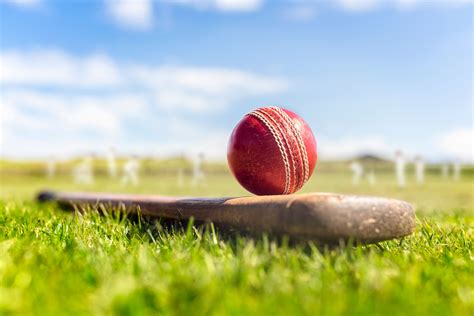 New Zealand Cricket Taps Imagen And Aws To Score Big With Fans And