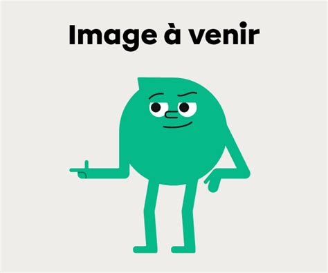 Factors Influencing Reaction Rate Secondaire Alloprof