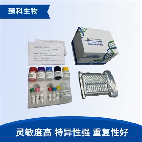 大鼠褪黑素mt）elisa试剂盒 品牌臻科研 上海 Chemicalbook