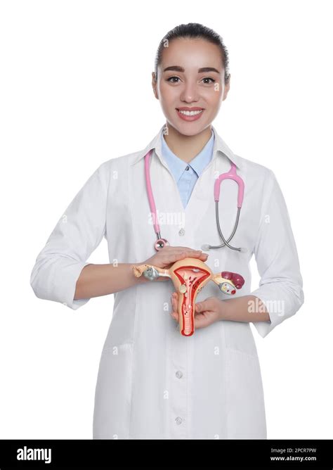 Doctor Demonstrating Model Of Female Reproductive System On White