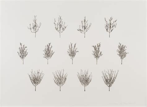 Patsy Norvell — A I R