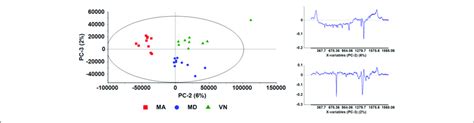 Scores Plot Depicting Pc 2 And Pc 3 Left And Loadings Plots Download Scientific Diagram