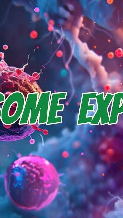 Mesosomes The Hidden Powerhouses Of Bacteria Revealed Bio