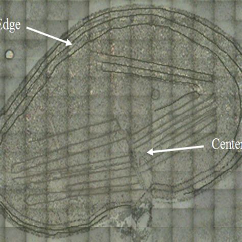 Journal Of Applied Bioanalysis