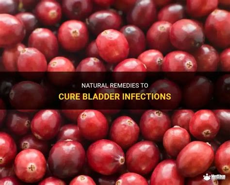 Natural Remedies To Cure Bladder Infections Medshun