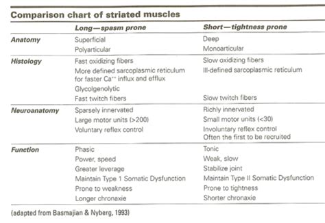 Omm Principles Of Muscle Energy Flashcards Quizlet