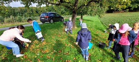 Apfelprojekt Tag 1 Grundschule Roigheim