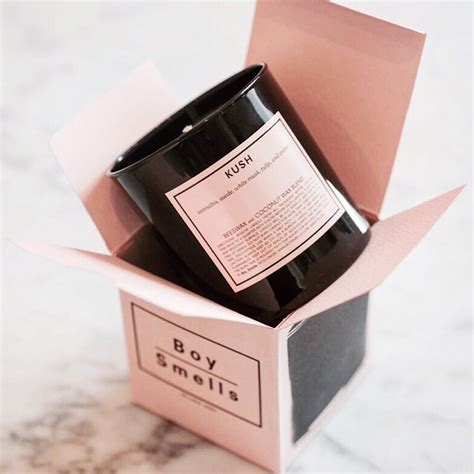 Quiz à La Rogue David Kien Maison Rogue