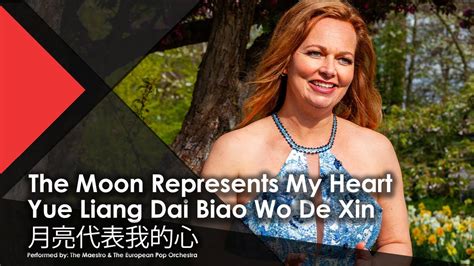 The Moon Represents My Heart Yue Liang Dai Biao Wo De Xin 月亮代表我的心