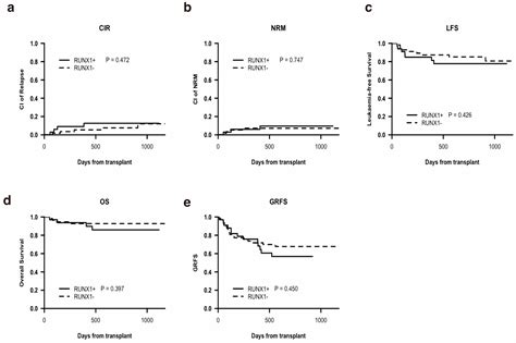 Clinical Effects Of Runx1 Mutations On The Outcomes Of Patients With