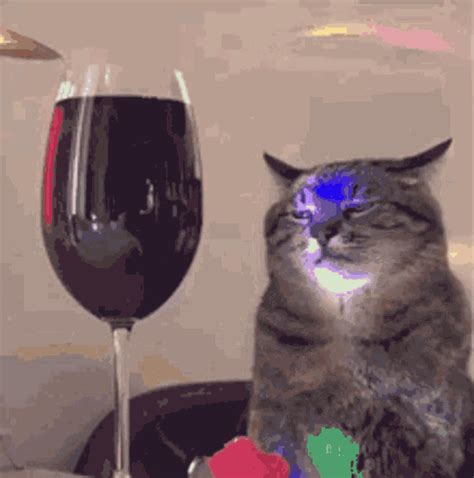 Wine Red Wine  Wine Red Wine Discover And Share S