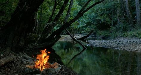 Живые обои природа Костер в лесу