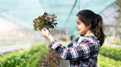 年轻的亚洲农民漂亮女孩在蔬菜水培农场快乐地工作。高清摄影大图 千库网