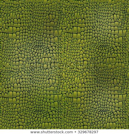 Vector Illustration Alligator Skin Seamless Art Stock Vector Royalty