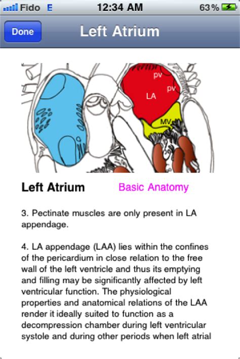 Heart Illustrated Is A Simple And Free Well Drawn Reference For Cardiac Anatomy