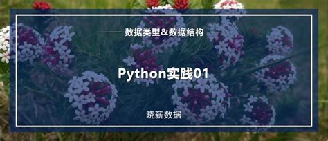 Python实践01 数据类型与数据结构 知乎 Python实践01 数据类型与数据结构 知乎