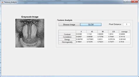 Texture Analysis Gray Level Co Occurrence Matrix Glcm Gui Matlab Pemrograman Matlab