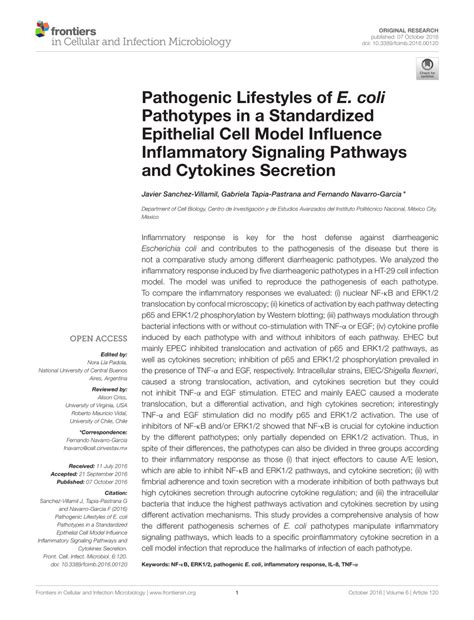 Pdf Pathogenic Lifestyles Of E Coli Pathotypes In A Standardized