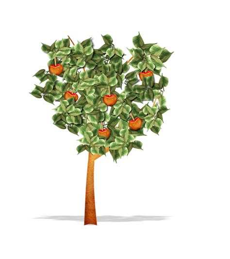 Tree White Transparent Rendering Apple Tree Transparent Png Clip Art Images