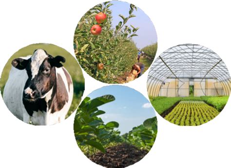 Managing Farm Risk Inprep Indiana Prepared
