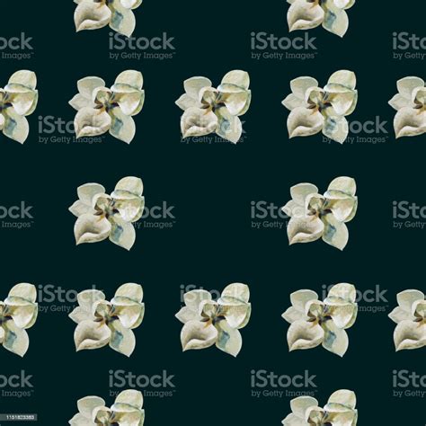 아름 다운 목련 그림 아크릴 완벽 한 패턴입니다 손으로 그린 정글 자연 꽃 그림입니다 직물 천 벽지 스크랩북에 대 한 인쇄 0명에 대한 스톡 벡터 아트 및 기타 이미지