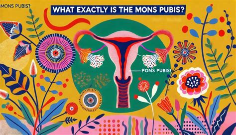 The Mons Pubis Everything You Didnt Know About This Fascinating Part