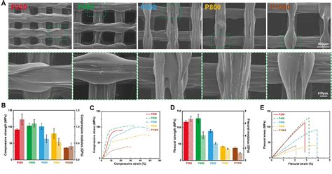 Figure 1 From Bio Functional Hydroxyapatite Coated 3d Porous
