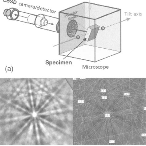 7 Ebsd Technique For Crystal Structure Identification A Schematic