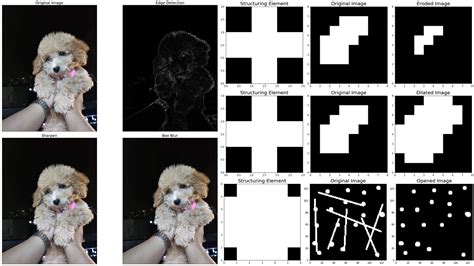 Introduction To Image Processing With Python By Erika Lacson Python