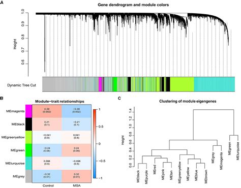 Frontiers Detecting Ferroptosis And Immune Infiltration Profiles In