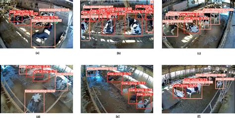 Figure From Dairy Cow Behavior Recognition Using Computer Vision Techniques And Cnn Networks