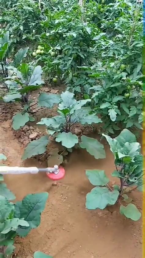 👍Γερμανική τεχνολογία μαύρης κόλλας 💪Η συγκολλητική δύναμη είναι ισχυρότερη από τη στερέωση με