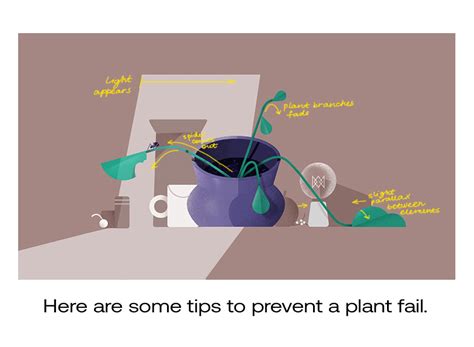 Seedandstem Animated Video Behance