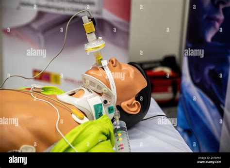A Biomedical Simulation On Plastic Human Body Showing Uses Of Inner