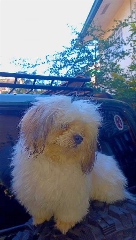 The Many Faces Of Kulas Aka Boy Kulas At Magda Co