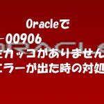 C で発生するORA 01036 illegal variable name numberのエラーの解決法