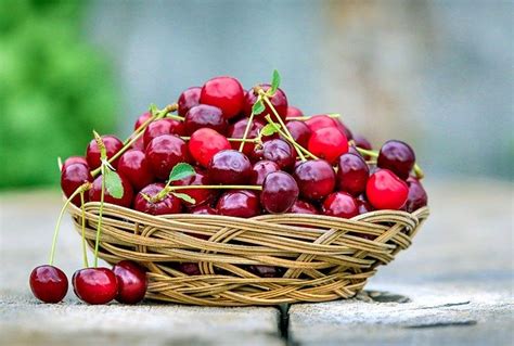 Can I Eat Cherries During Pregnancy
