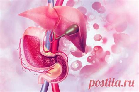 Природные средства растворяющие камни в желчном пузыре Энергия еды здоровье печень Постила