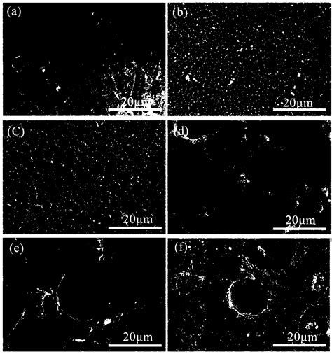 Peek Polyether Ether Ketone Surface Modification Method Eureka Patsnap