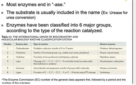 Lecture 15: Enzyme Mechanisms Flashcards | Quizlet