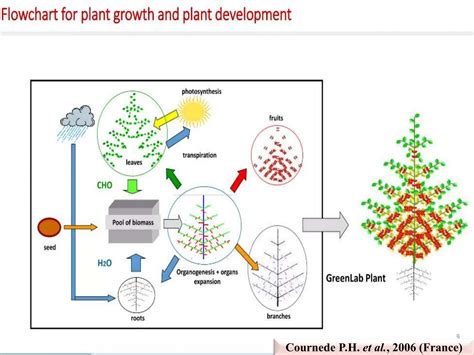 ‘crop Modeling For Stress Situation Assessing Stress Through Remote Sensing Pptx