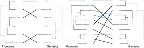 Comparison Between The Tree Derived From Pronouns And Trees Derived Download Scientific Diagram