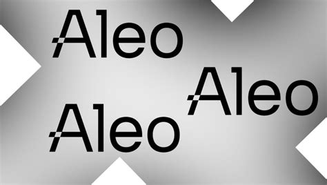 getting started with aleo a guide for developers by chirokiy mar