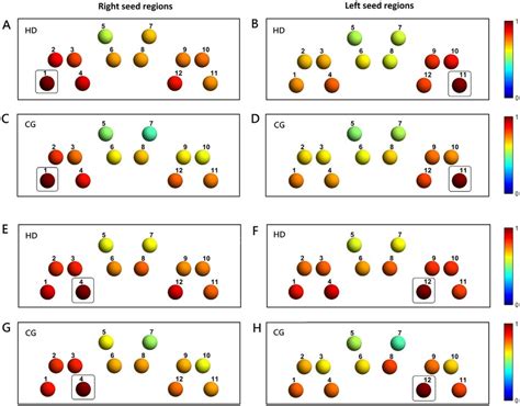 seed based rsfc z r maps of the ofc systems a b and e f represent
