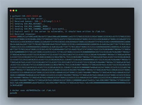 erlang otp ssh服务器存在rce漏洞 erlang otp rce csdn博客