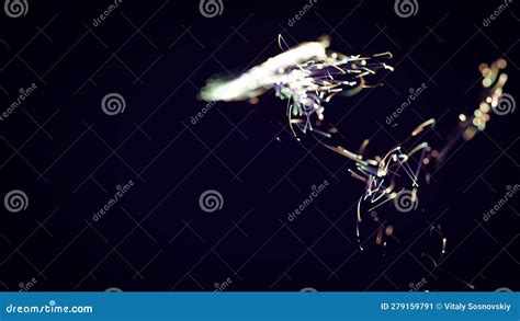 Colorful Abstract Stylish Particle And Plexus System On Dark Background