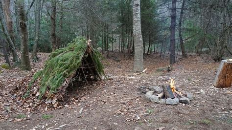Homestead Survival Canning For Preppers