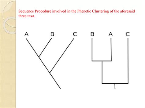Numerical Taxonomy And Biometrics Pdf